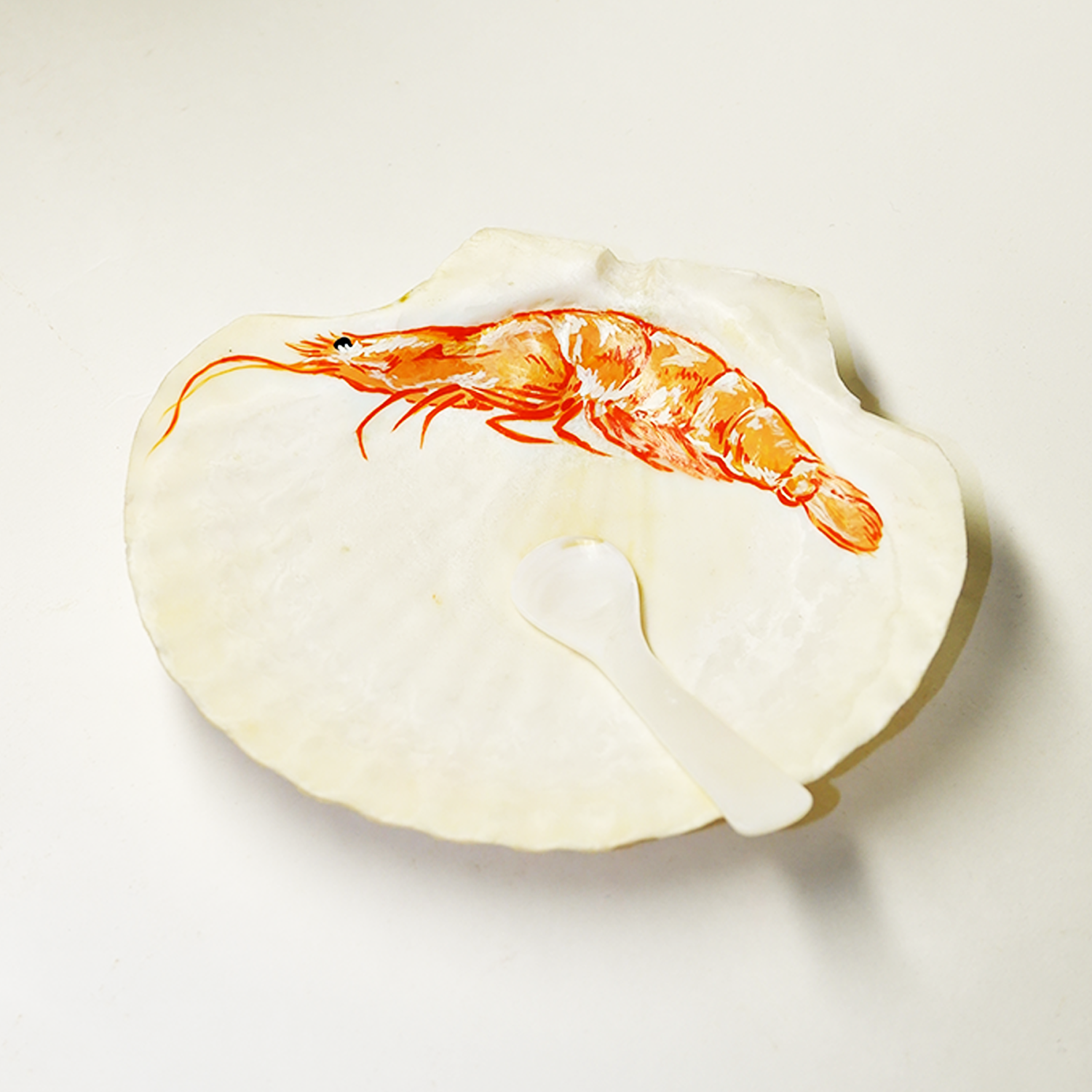SCALLOP +PRAWN SHELLS – MOLLUSC HOUSE
