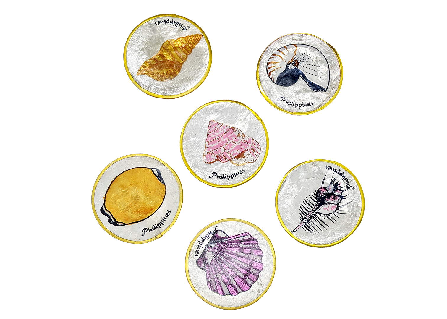 SHELL COASTERS – MOLLUSC HOUSE