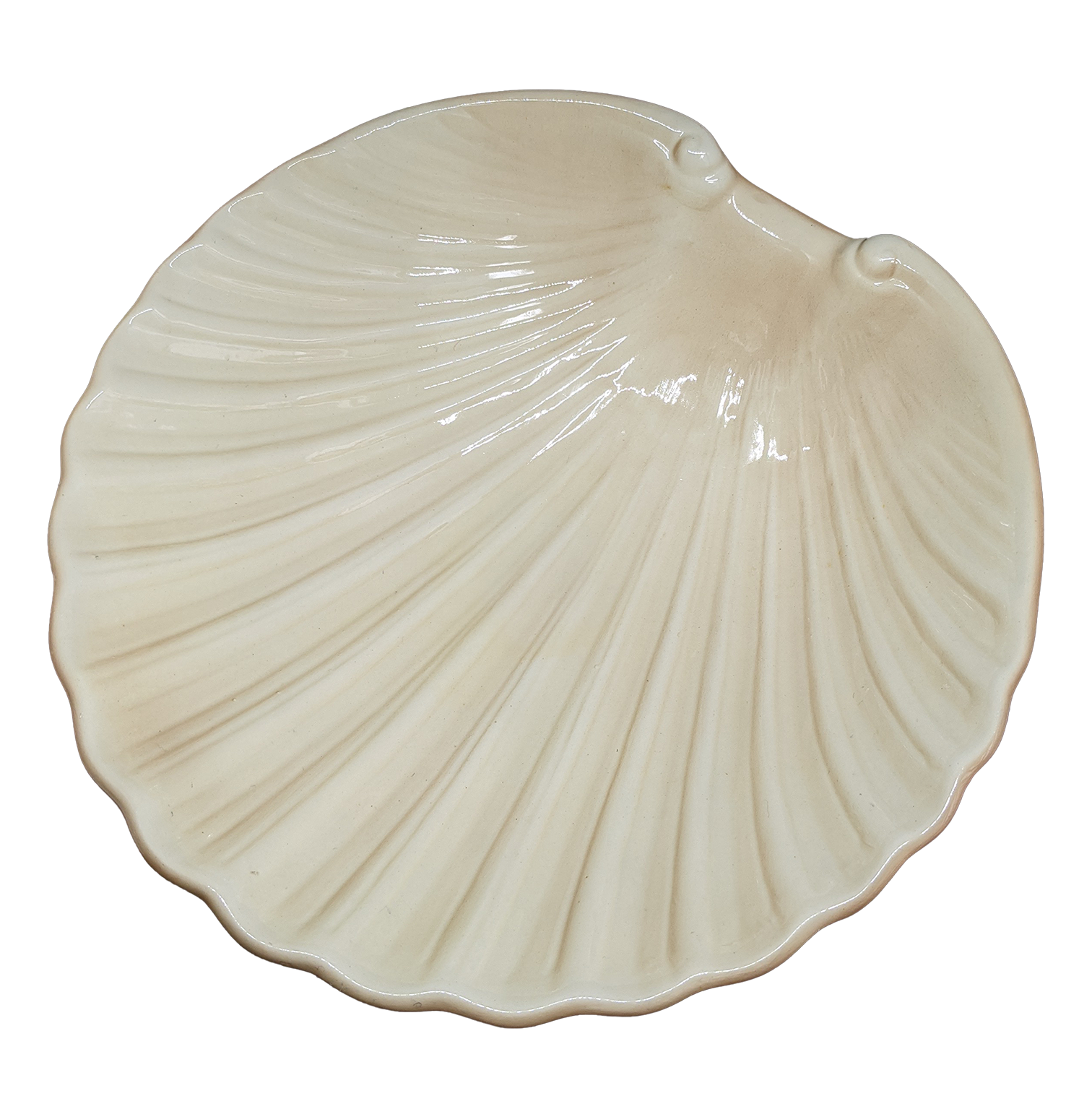 LARGE SHELL BOWL – MOLLUSC HOUSE